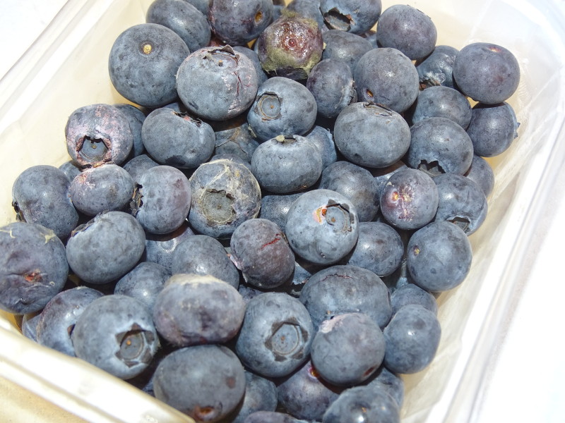 Baking, Recipes and Tutorials - The Pink Whisk